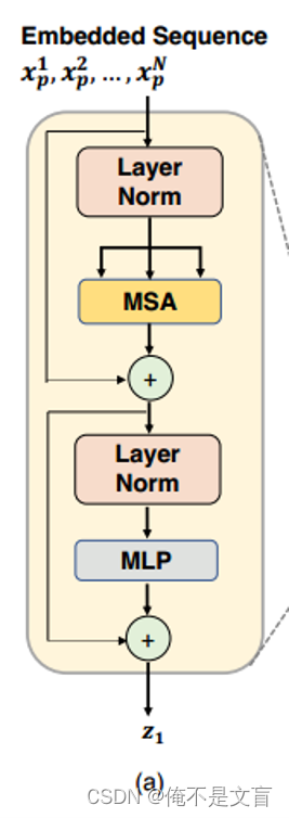 论文研读：Transformers Make Strong Encoders for Medical Image Segmentation ...