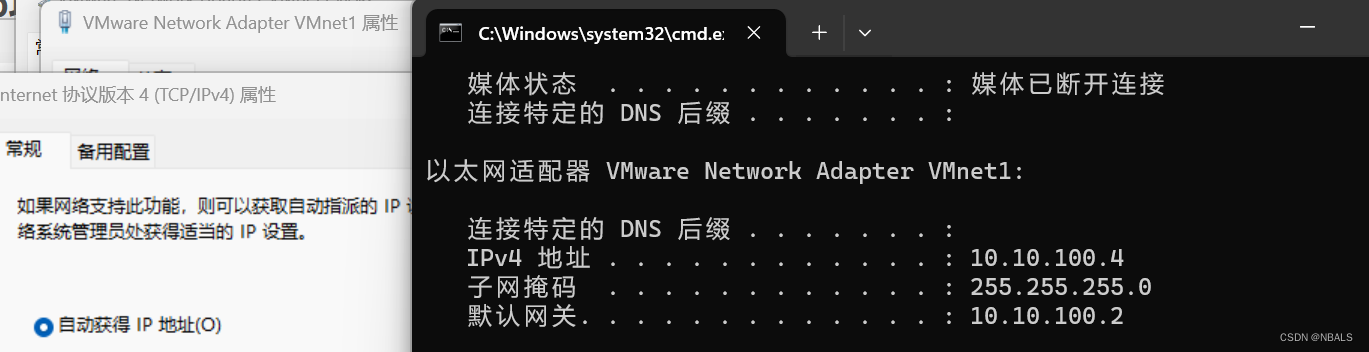 Linux centos8 dhcp服务器配置_centos8安装dhcp-CSDN博客
