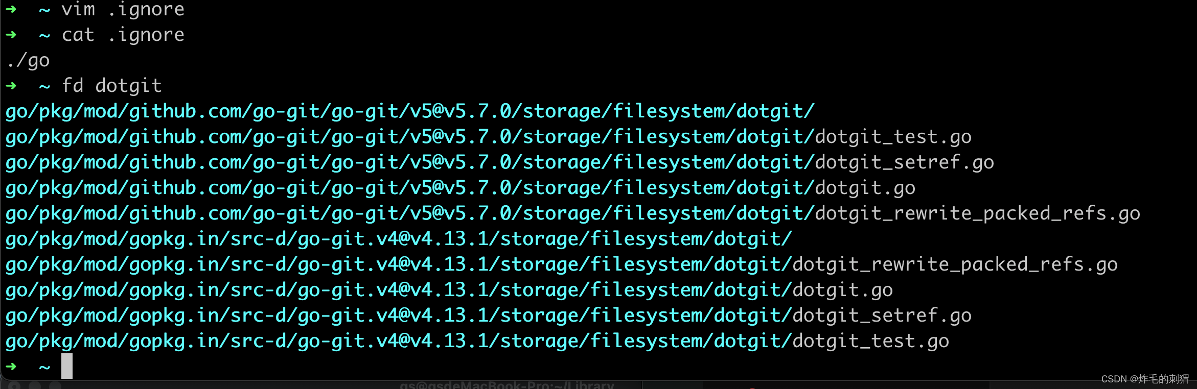 fd工具配置.fdignore（全网首创）_fzf ignore-CSDN博客