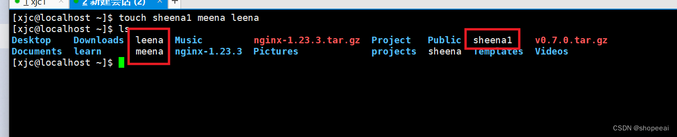 【Linux】Linux 系统编程——touch 命令_linux touch-CSDN博客