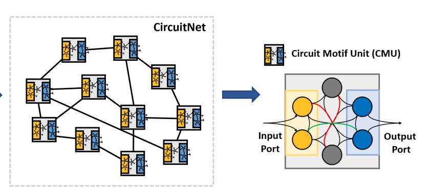 【博士每天一篇文献-算法】CircuitNet：A Generic Neural Network to Realize Universal Circuit Motif Modeling-CSDN博客