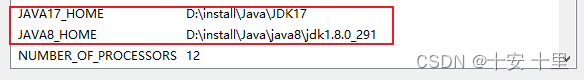 JAVA环境共存_java8和java17共存-CSDN博客