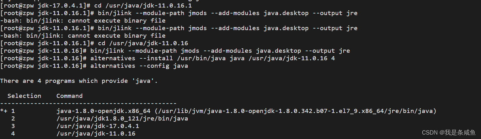 linux 安装多jdk环境_linux 两套java环境-CSDN博客