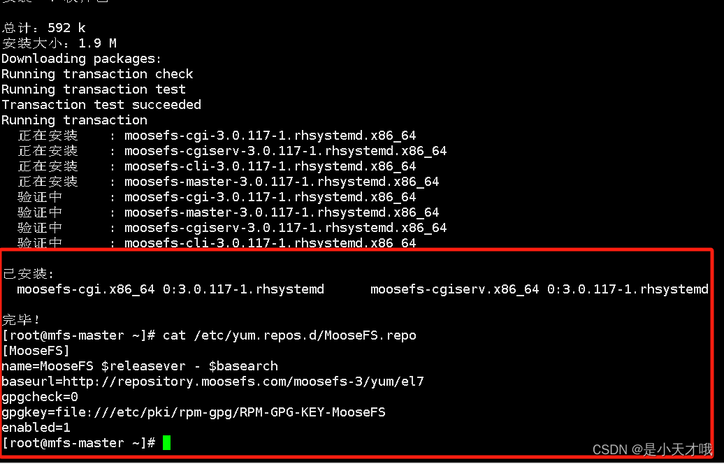 分布式存储MFS-2-Master Server搭建_moosefs怎么搭建-CSDN博客