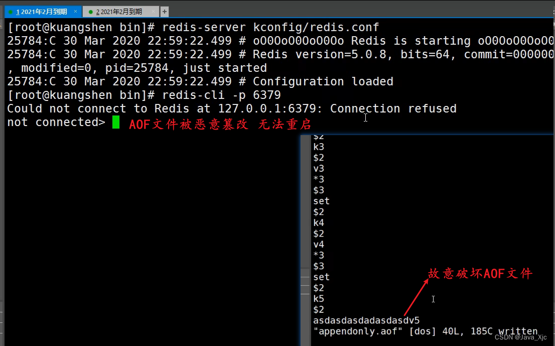 Redis 持久化之AOF操作_java redis aof-CSDN博客