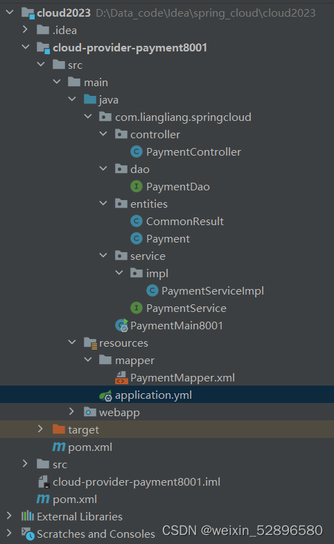 SpringCloud学习day01——支付模块构建b站尚硅谷周阳老师_springcloud模拟支付-CSDN博客