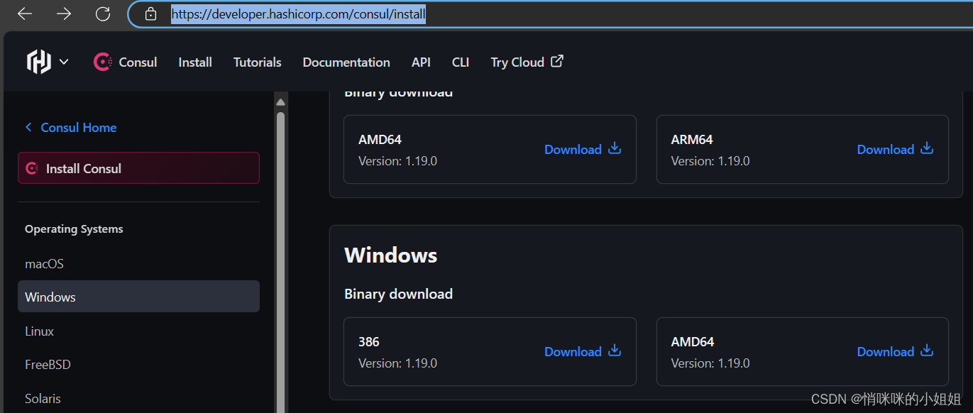 Consul Install_install consul-CSDN博客