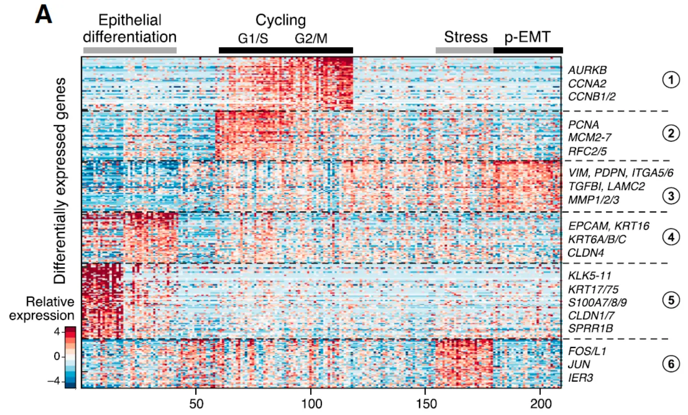 10X单细胞（10X空间转录组）之NMF的实际运用示例（探索肿瘤特征）_genenmf-CSDN博客