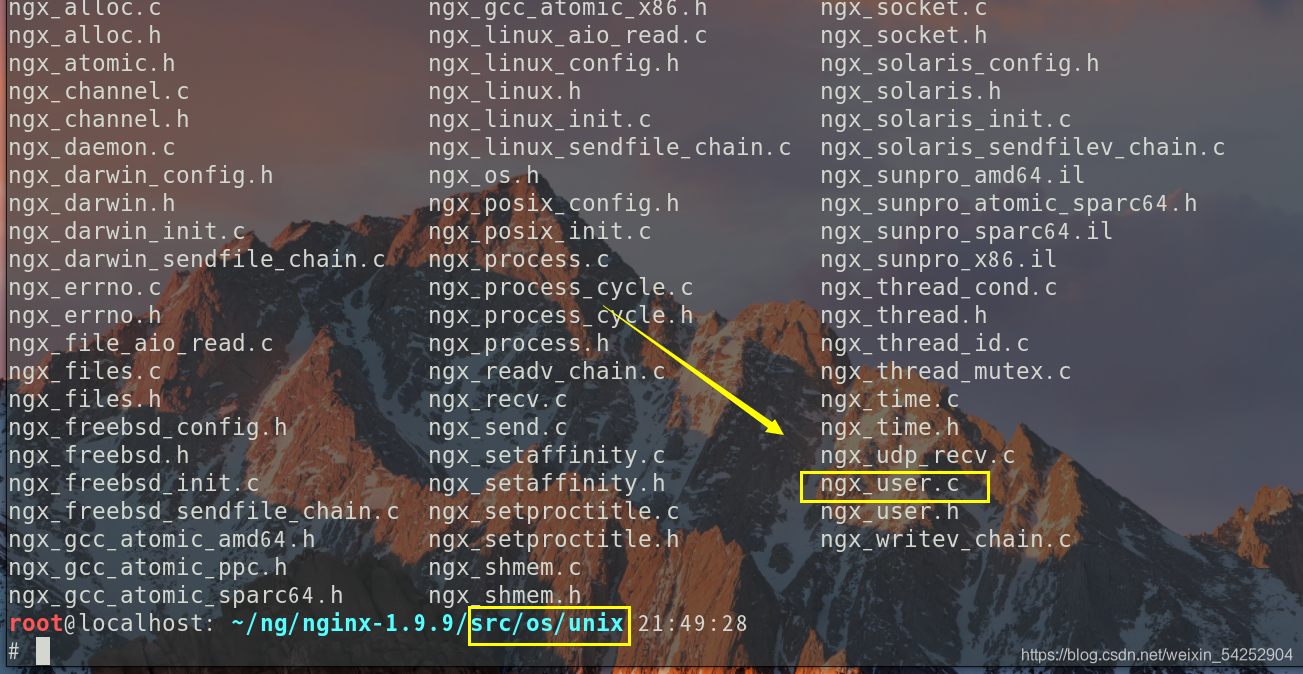 nginx的安装和配置_kali安装nginx-CSDN博客