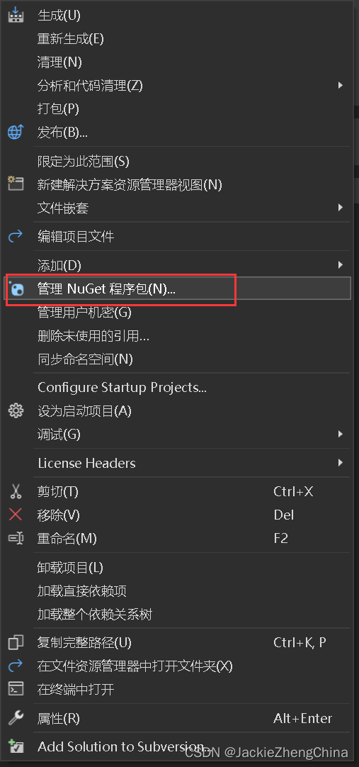 Net core 报 Could not load file or assembly ‘System.Security.Permissions 错误_could not load file ...