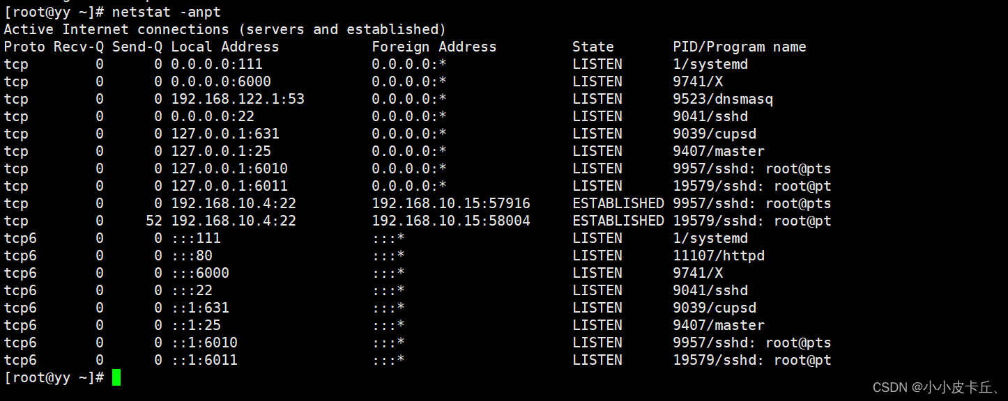 了解Linux网络设置_nameserver 8.8.8.8-CSDN博客