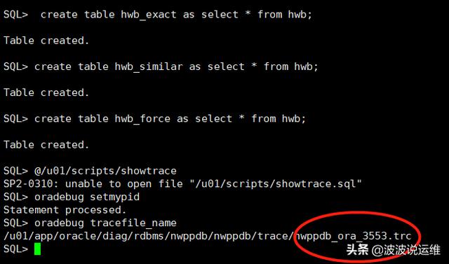 oracle select 变量_详解oracle数据库优化参数--cursor_sharing-CSDN博客