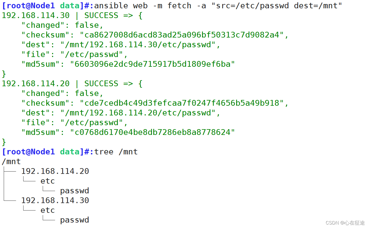 Ansible自动化运维，(1)模块_python ansible模块-CSDN博客