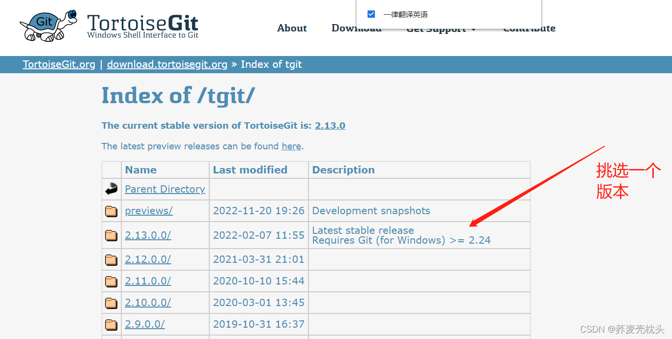 Gitee入门指南-CSDN博客