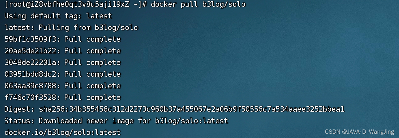 Docker 搭建个人博客（solo）_docker拉取最新的solo-CSDN博客