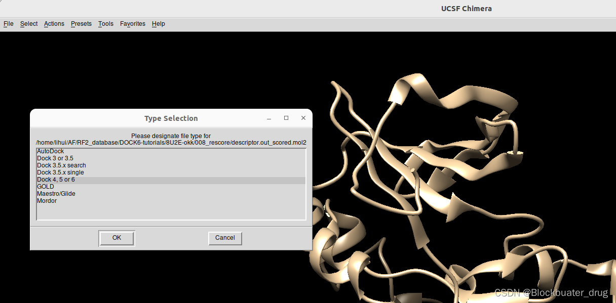UCSF DOCK 分子对接详细案例（02）-并行用于高通量虚拟筛选_高通量分子对接-CSDN博客