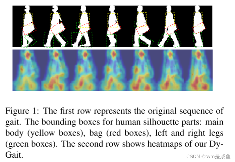 DyGait: Exploiting Dynamic Representations for High-performance Gait Recognition-CSDN博客