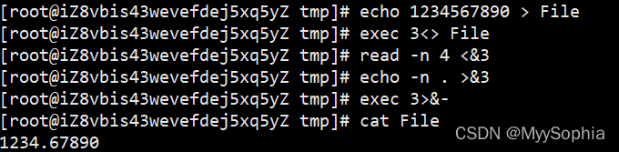 高级重定向的示例（shell 进阶）_shell mkfifo-CSDN博客