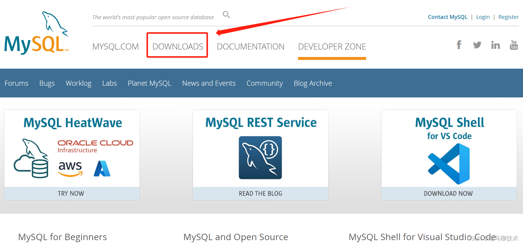 MySQL-8.1.0 数据库下载及安装_mysql8.1下载-CSDN博客