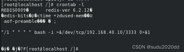 SSRF——手把手教你Redis反弹Shell-CSDN博客