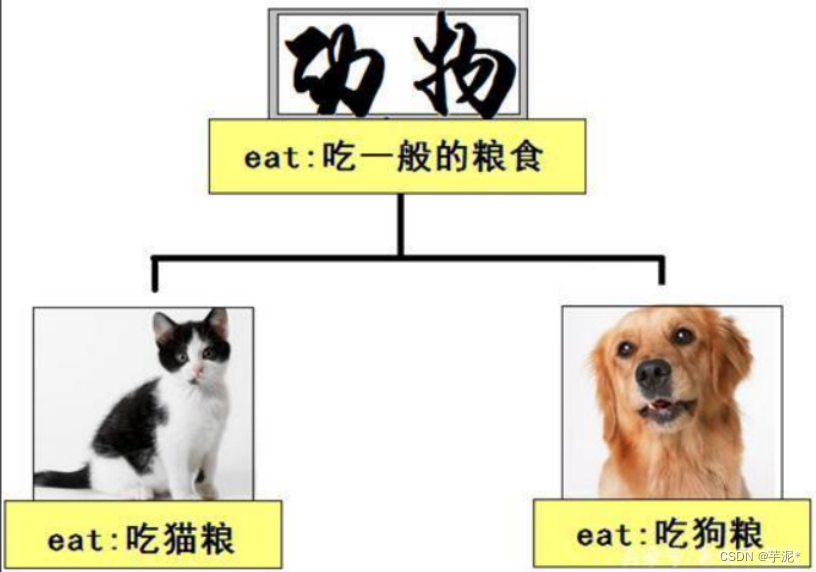 【JavaSE】知识点总结：多态_多态知识点-CSDN博客