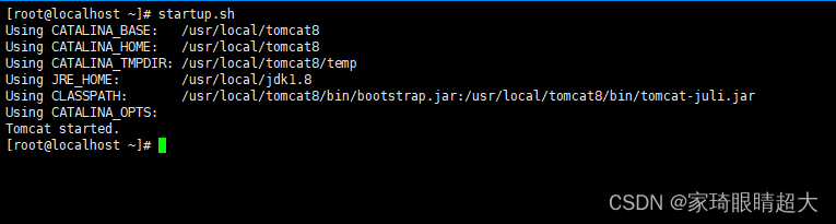 Linux下安装部署Tomcat8_图解_保姆级教程_linux tomcat8-CSDN博客