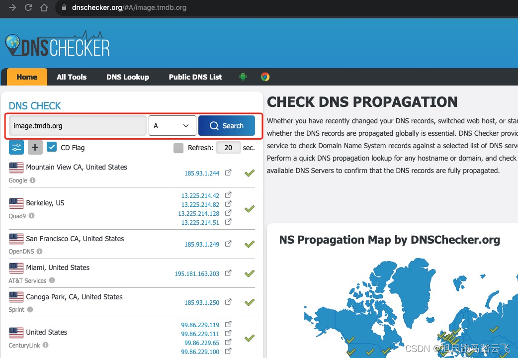 保护DNS安全：使用DNSChecker.org检测和防止污染-CSDN博客