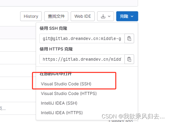 gitlab拉取项目代码，修改提交，合并分支，打tag_git 自动拉取 csdn-CSDN博客