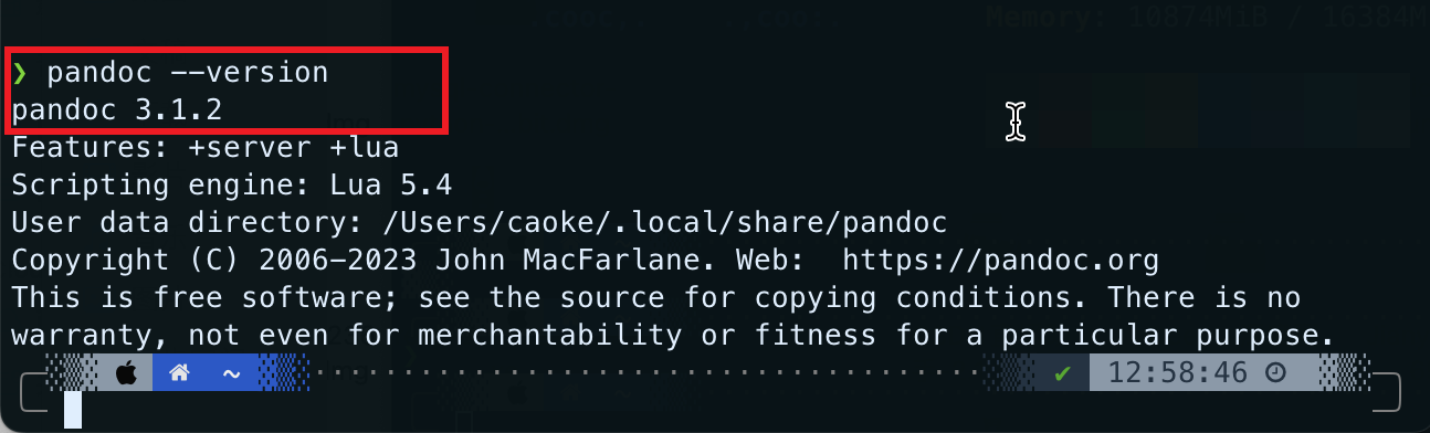 Typora Mac版本安装 Pandoc 导出文件为word格式（windows可通用）_mac pandoc-CSDN博客