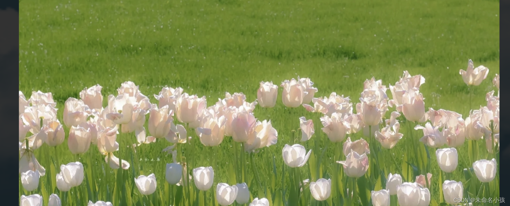 图片预览——uni.previewImage和自定义-CSDN博客