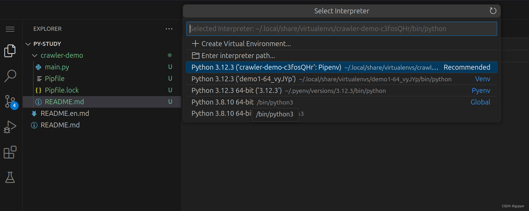 pipenv的安装和使用_pipenv安装-CSDN博客