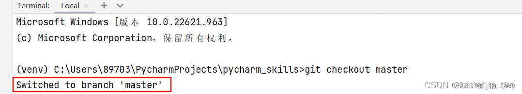 git使用教程14-Pycharm版本控制与分支管理_pycharm 版本控制-CSDN博客