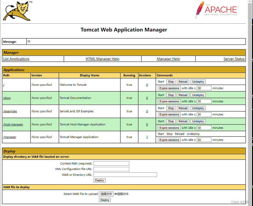 tomcat讲解_tomcat redis-CSDN博客