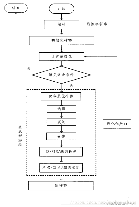 符号回归工具之 geppy： Python中的基因表达编程框架-CSDN博客