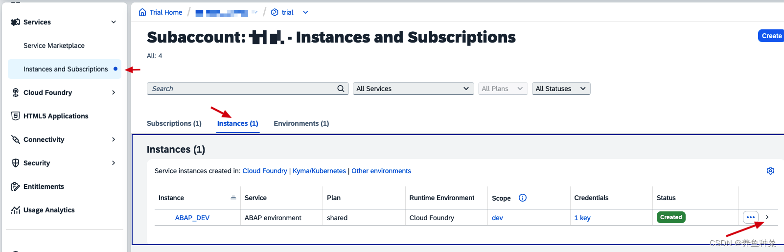 BTP上的ABAP开发（1）环境搭建_abap btp-CSDN博客