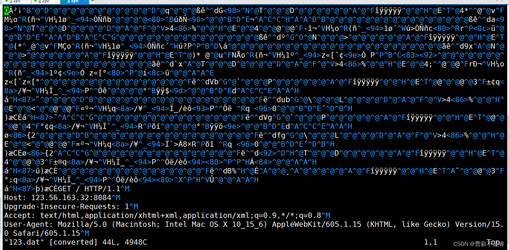 udp &&TCP详解 ——以抓包方式_tcpdump抓udp包命令-CSDN博客