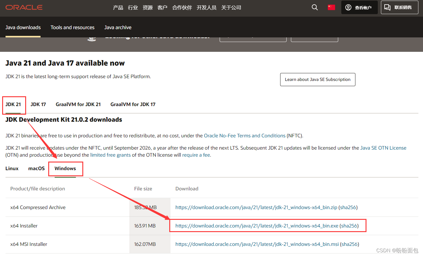 安装java8和java21共存，如何自由切换java版本？java切换版本 Csdn博客 0941
