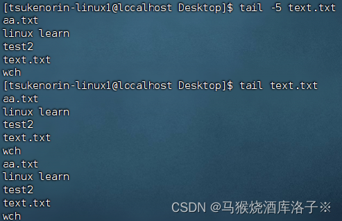 深入解析：echo命令、重定向与vim编辑器的工作原理-CSDN博客