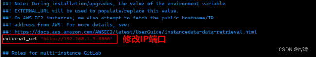 Devops平台之gitlab离线安装【一】validation Failed Password Must Not Contain Commo Csdn博客