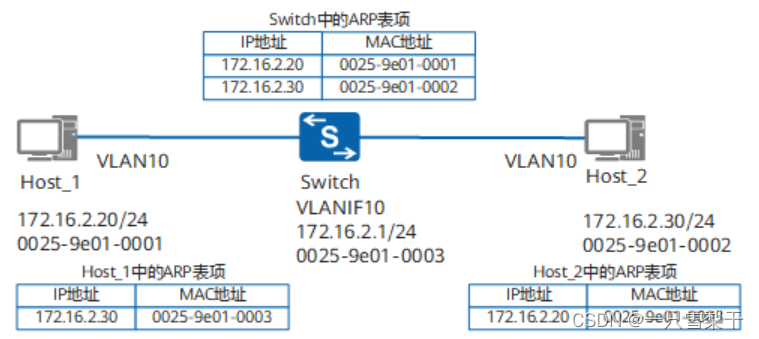 ARP协议详解：地址解析、类型与应用-CSDN博客