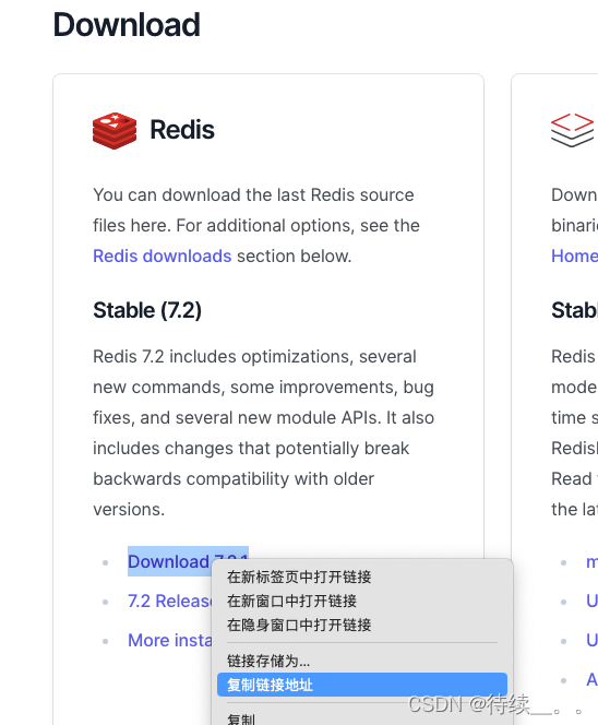 Go语言中Redis的安装与基础操作指南,-CSDN博客