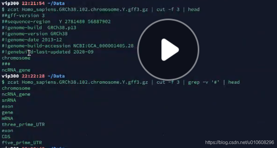 生物信息学常见数据格式 • fasta • fastq • gff/gtf 练习题_gff3或者gtf文件 练习-CSDN博客