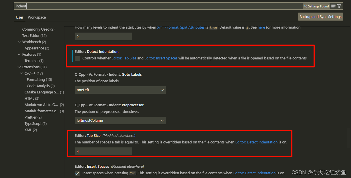 vscode指定indent(缩进)为4并且不自动检测_indent=4-CSDN博客
