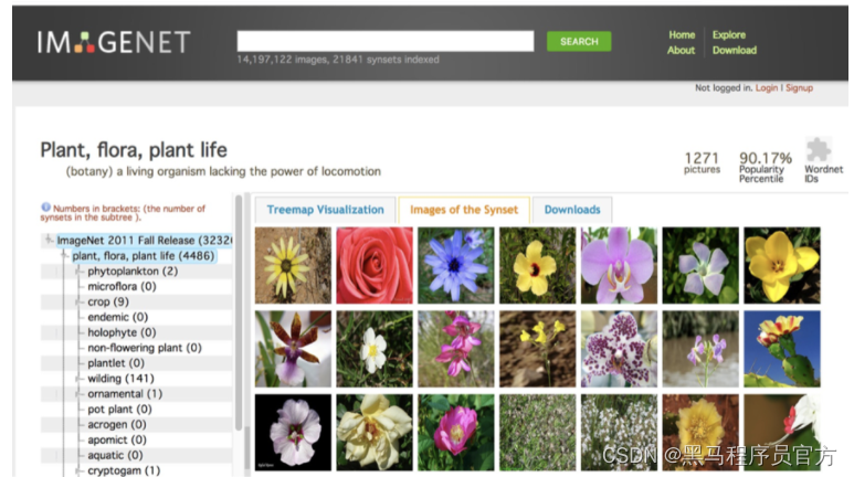 了解图像分类与imageNet数据集-CSDN博客