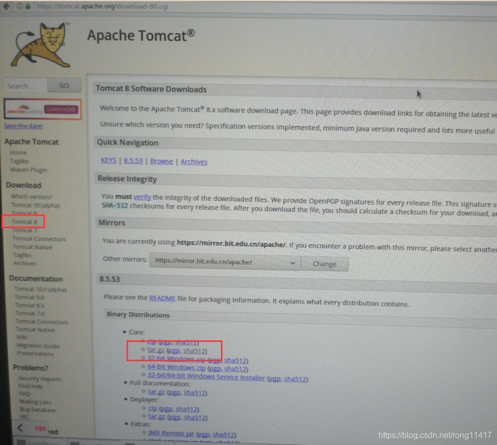 【Linux】Linux Web服务器部署LNMT(Linux+Ngnix+MySQL/Mariadb+Tomcat)_nlmt服务器-CSDN博客
