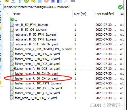 detectron2在linux上安装_linux安装detectron2-CSDN博客