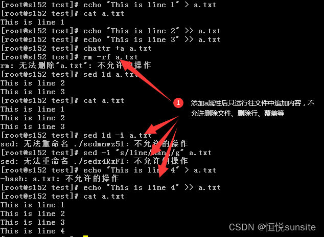 Linux命令之chattr命令-CSDN博客