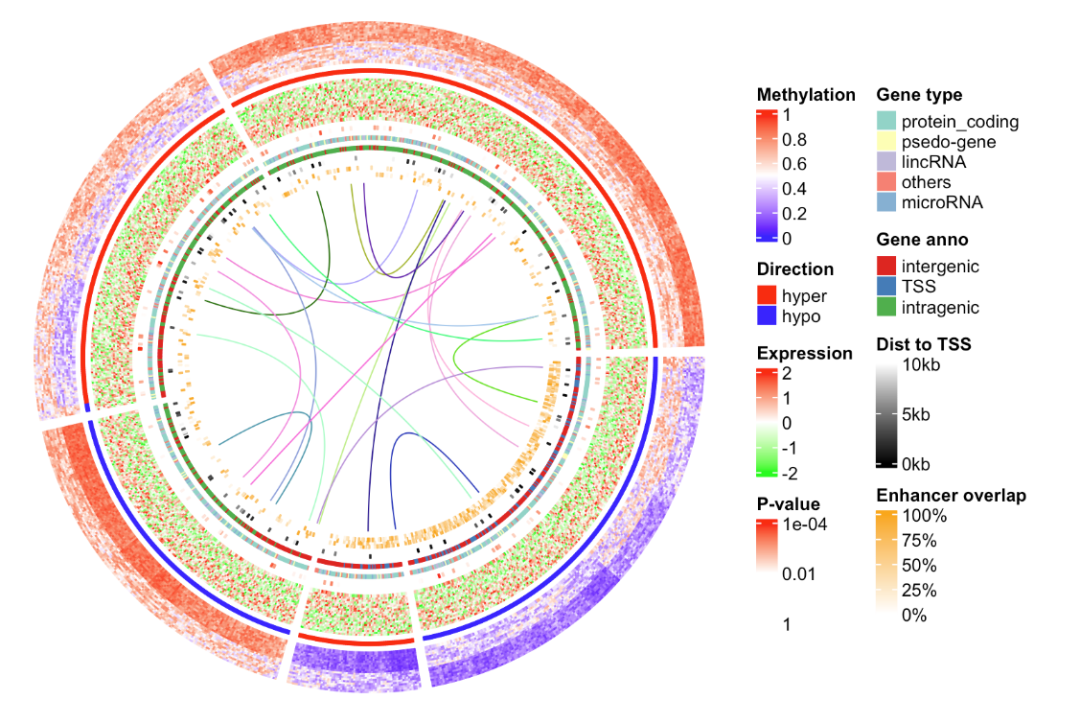 R实战 | 环状热图(circos)-CSDN博客