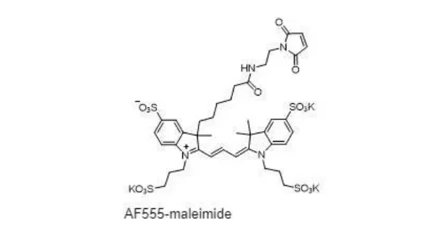 AF555马来酰亚胺，Alexa Fluor 555 Mal，一种橘黄色/橙红色荧光染料-CSDN博客