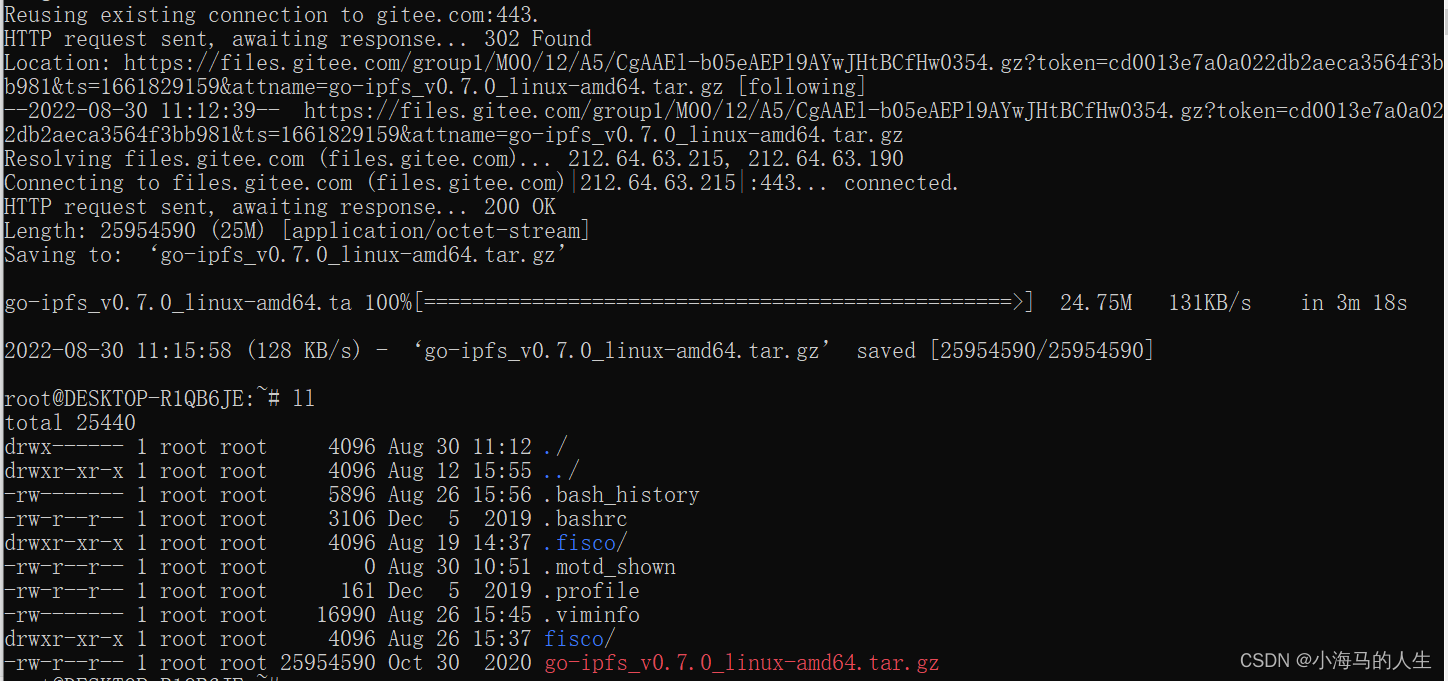 IPFS私有网络搭建-CSDN博客
